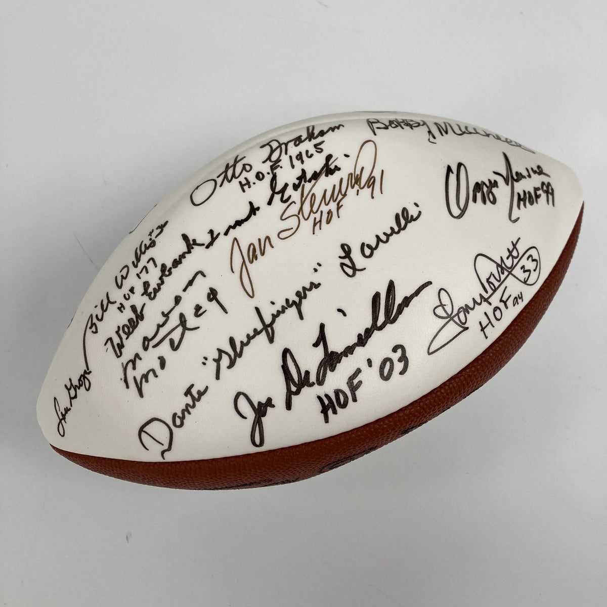 Hall Of Fame Multi Signed NFL Wilson Football 32 Signatures ...